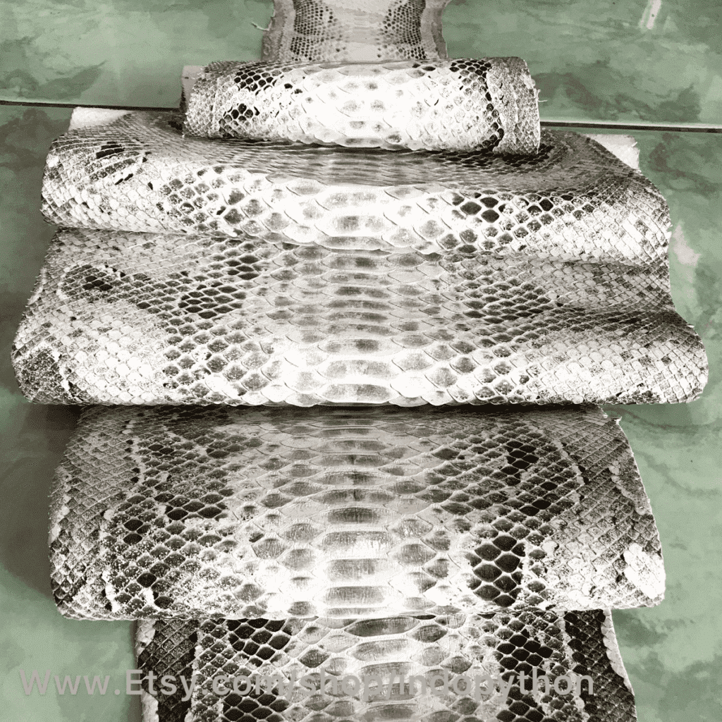 Buy High-Quality Glossy Natural Snakeskin - Indopython